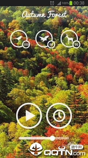 森林之声FOREST SOUND下载-森林之声FOREST SOUND中文版免费下载-乐逗玩